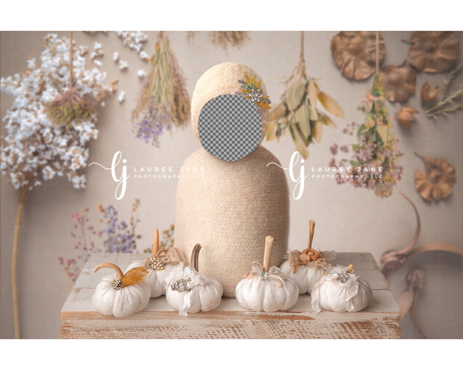 Newborn Digital Backdrop, Fall, Autumn, Pumpkin, Floral, Flower, Unique ...