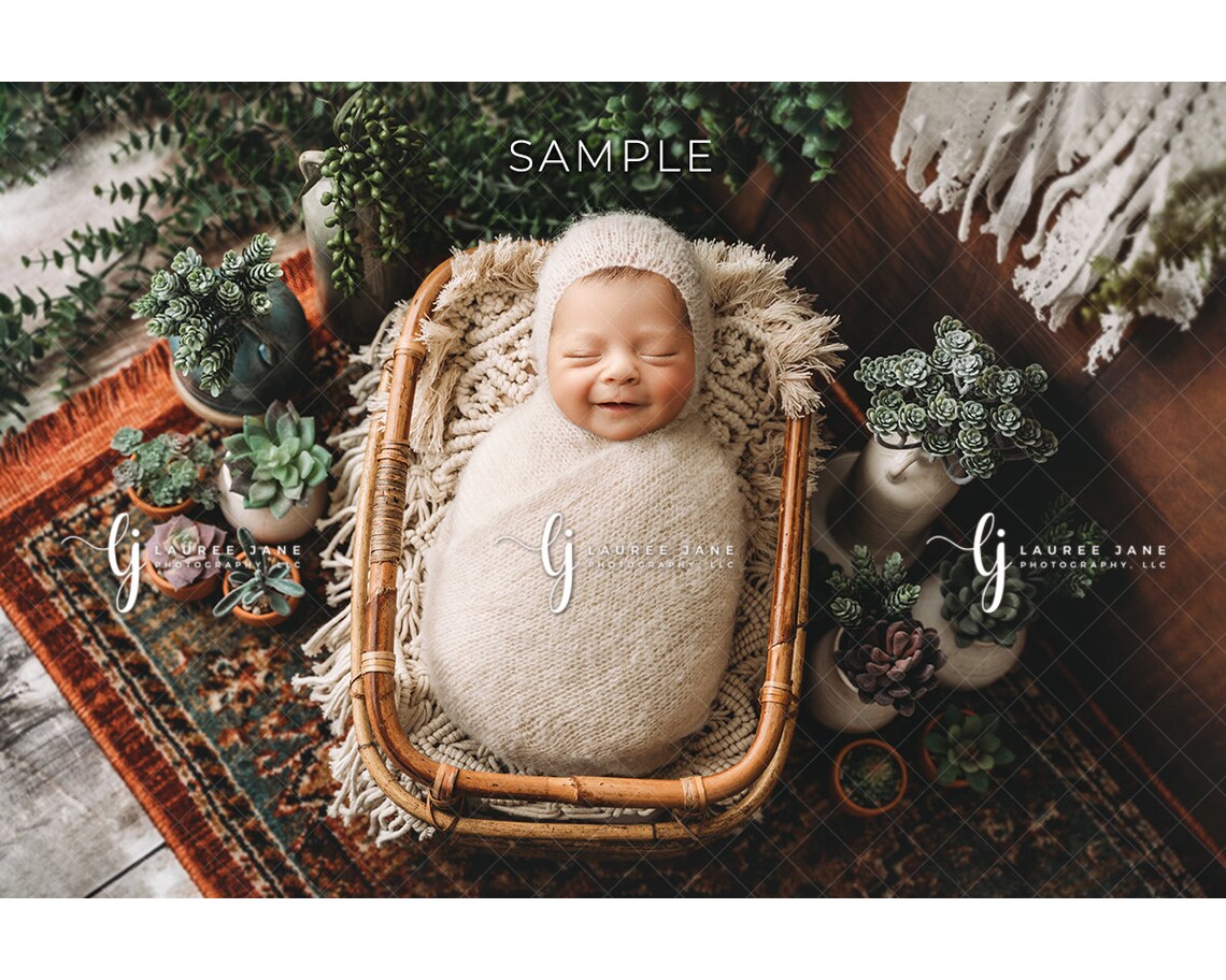 Boho Newborn Digital Backdrop Rustic Chic Succulent Plants - Etsy