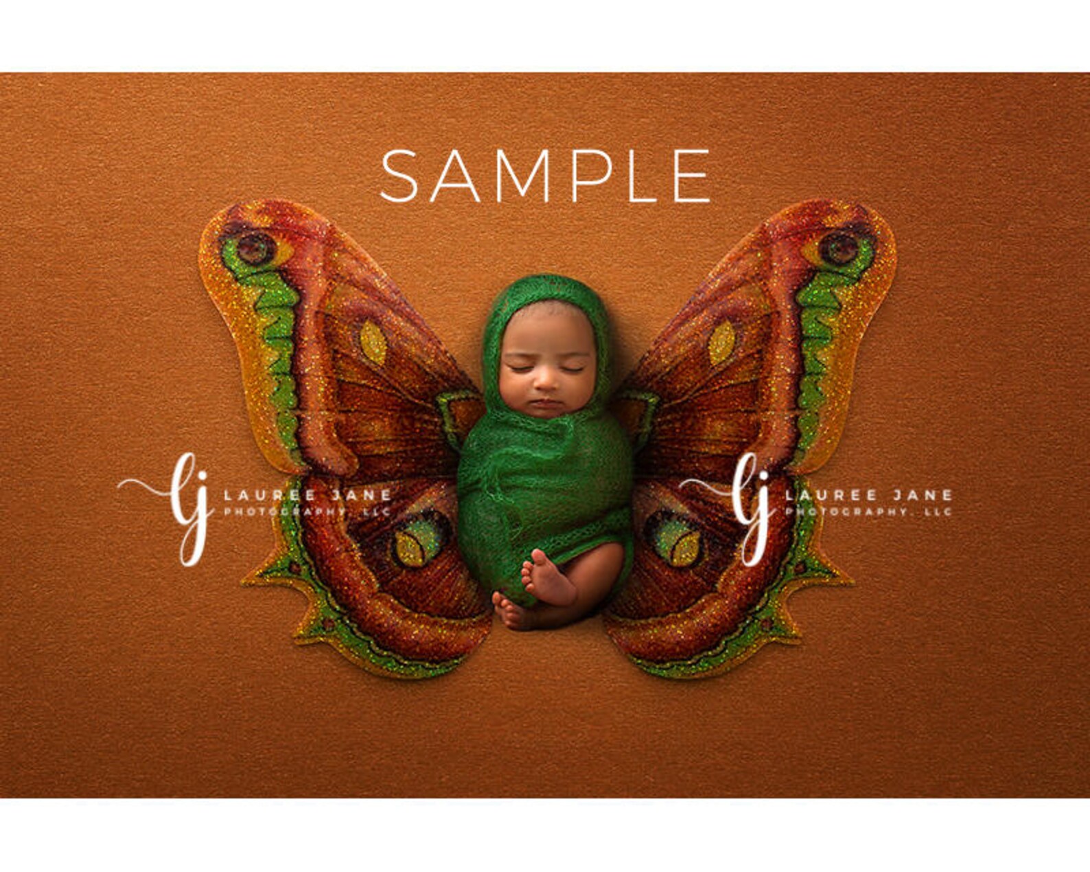Butterfly Wings Newborn Digital Backdrop Newborn Wings - Etsy