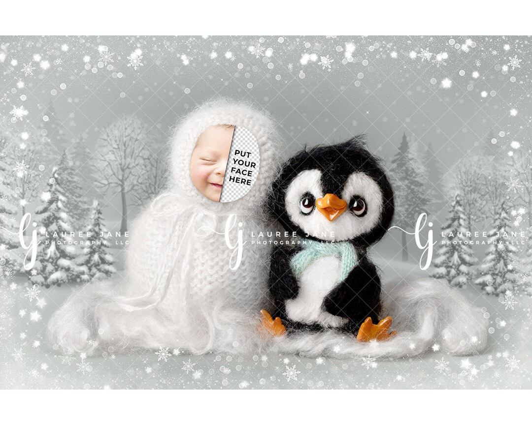 Newborn Digital Backdrop Background Wrap Penguin Arctic North Pole ...