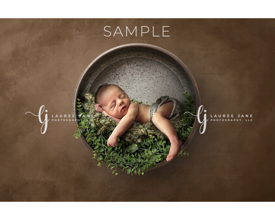 Newborn Digital Backdrop, Unique, Earthy, Nest, Succulents, Plants ...