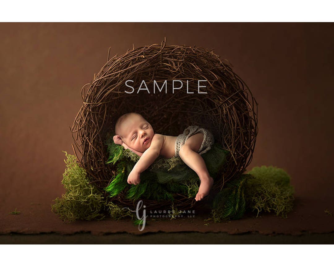Newborn Digital Backdrop, Unique, Earthy, Nest, Fairy, Moss, Plants ...