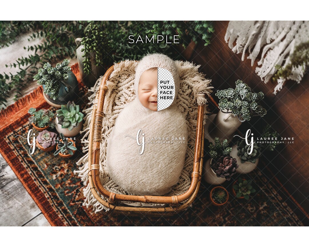 Boho Newborn Digital Backdrop Rustic Chic Succulent Plants Macrame ...