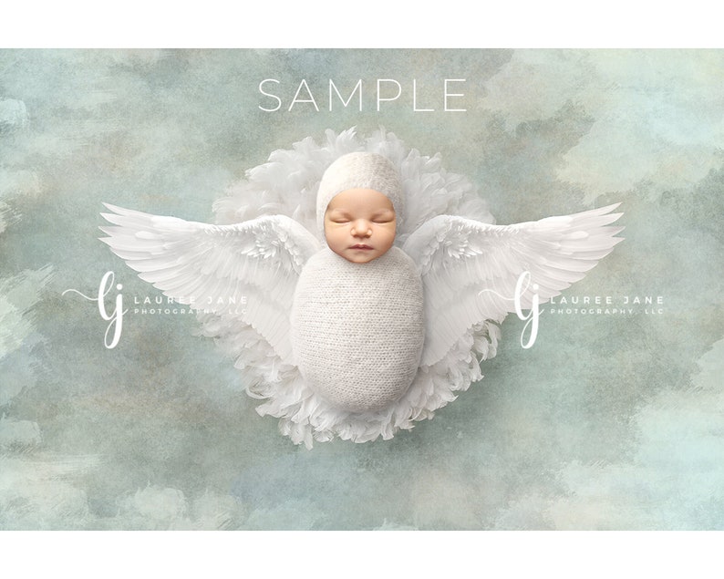 Newborn Digital Background Angel Feather Feathers Wings Clouds Sky Blue ...