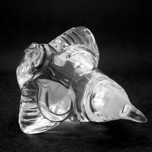 Vintage Signed Steuben Crystal Glass Small Wren Bird Figurine ...