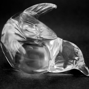 Vintage Signed Steuben Crystal Glass Small Wren Bird Figurine ...