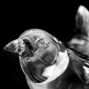Vintage Signed Steuben Crystal Glass Small Wren Bird Figurine ...