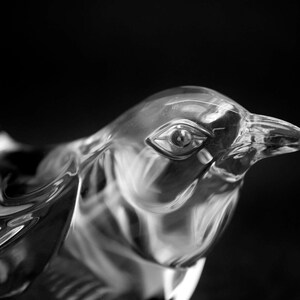 Vintage Signed Steuben Crystal Glass Small Wren Bird Figurine ...