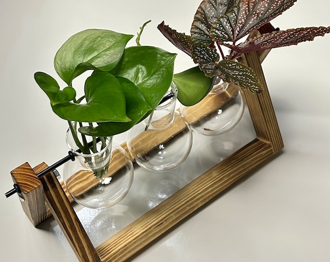 Barn Wood Propagation Station/plant Propagation Station, Plant Holder ...