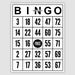 500 Jumbo Bingo Cards Pdf Download, Easily Print 1, 2, 4, 6, or 9 per ...