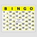 1000 Double Bingo Cards Pdf Download, 1, 2, and 4 per Page, Instant ...