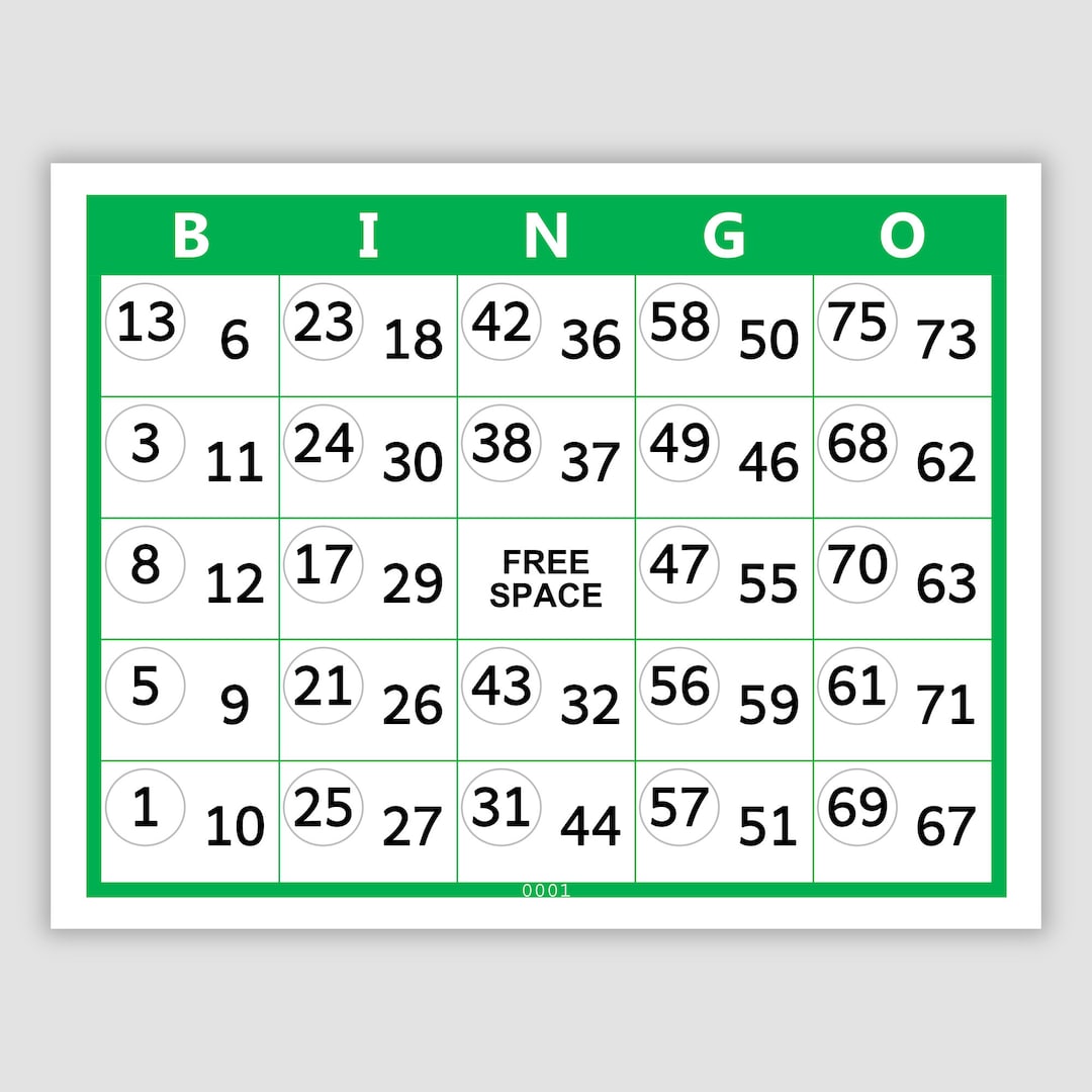 1000 Double Bingo Cards Pdf Download, 1, 2, and 4 per Page, Instant Printable Fun Party Game ...