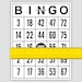 500 Jumbo Bingo Cards Pdf Download, Easily Print 1, 2, 4, 6, or 9 per ...