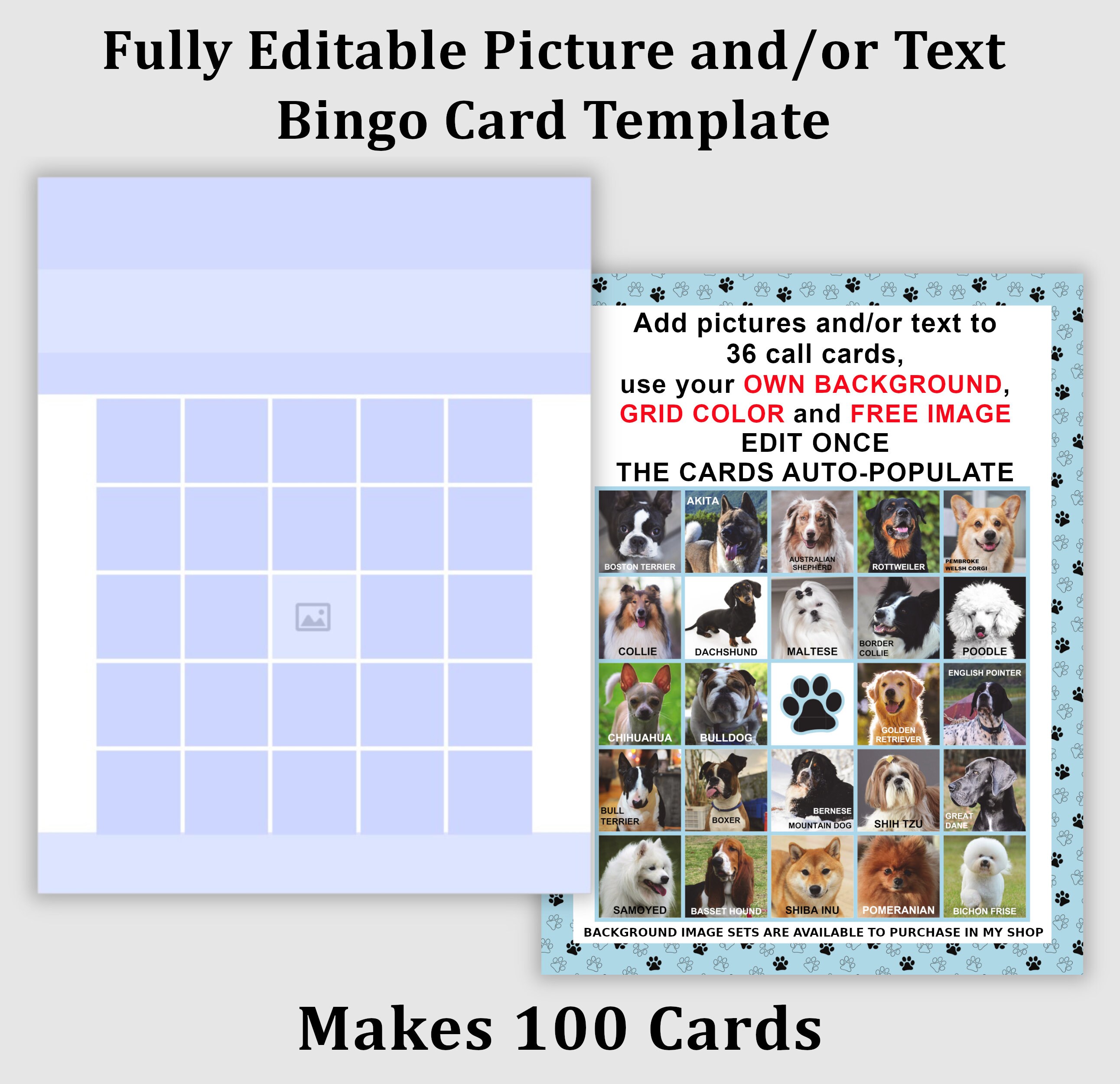 100 Card Editable Bingo Template, Picture/text Bingo, Everything Edits ...