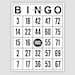 1000 Jumbo Bingo Cards Pdf Download, 1 per Page, Instant Printable Fun ...