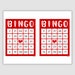 1000 Valentine's Day Bingo Cards Pdf Download, 1, 2, and 4 per Page ...
