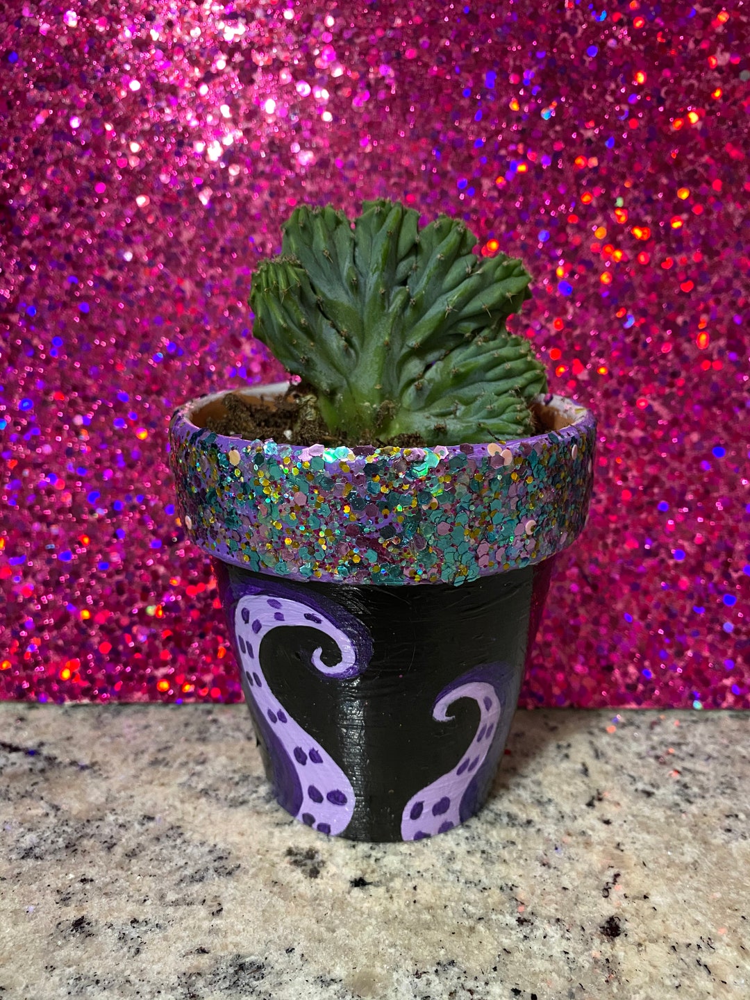 Ursula Succulent Pot - Etsy