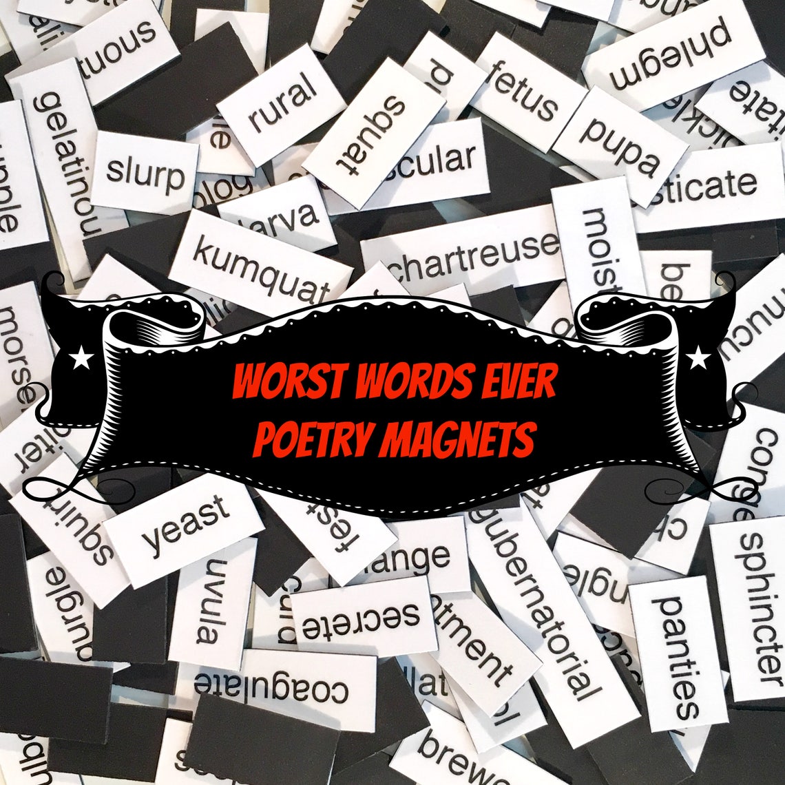 Worst Words Ever Poetry Magnets / Gross Words Magnets / Gag - Etsy UK