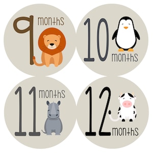 Monthly Baby Sticker Baby Boy Baby Girl Baby Month Stickers Baby ...