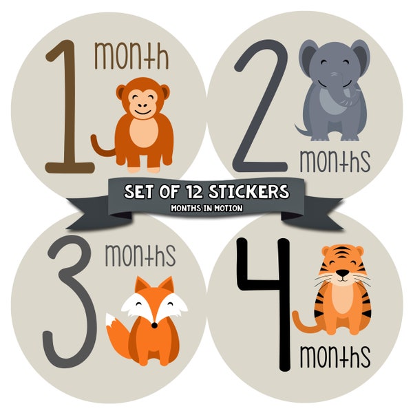 12 Month Stickers - Etsy