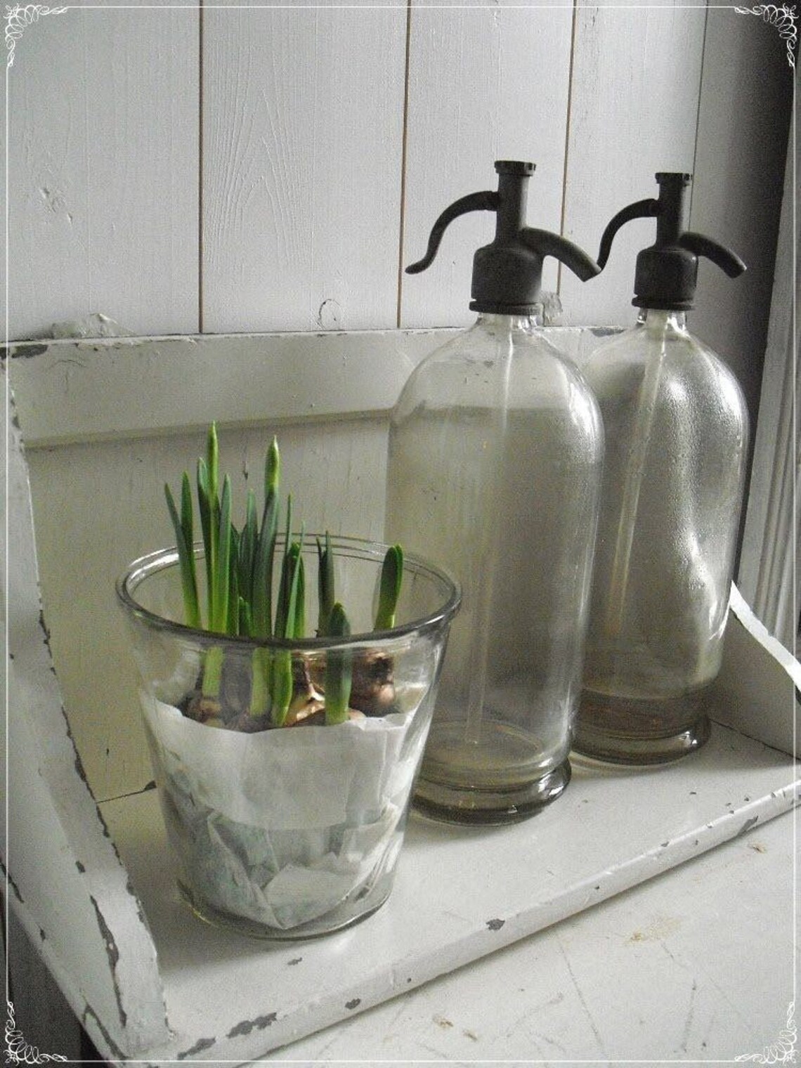 Vintage Seltzer Bottle - Etsy