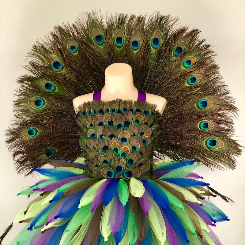 Peacock Costume - Etsy
