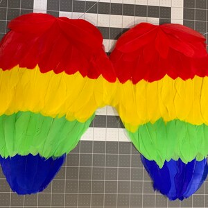 Parrot Dress, Bird Costume, Parrot Costume, Macaw Dress, Rainforest ...