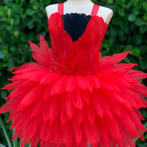 Cardinal Costume, Bird Costume, Bird Inspired Dress, Cardinal Bird ...