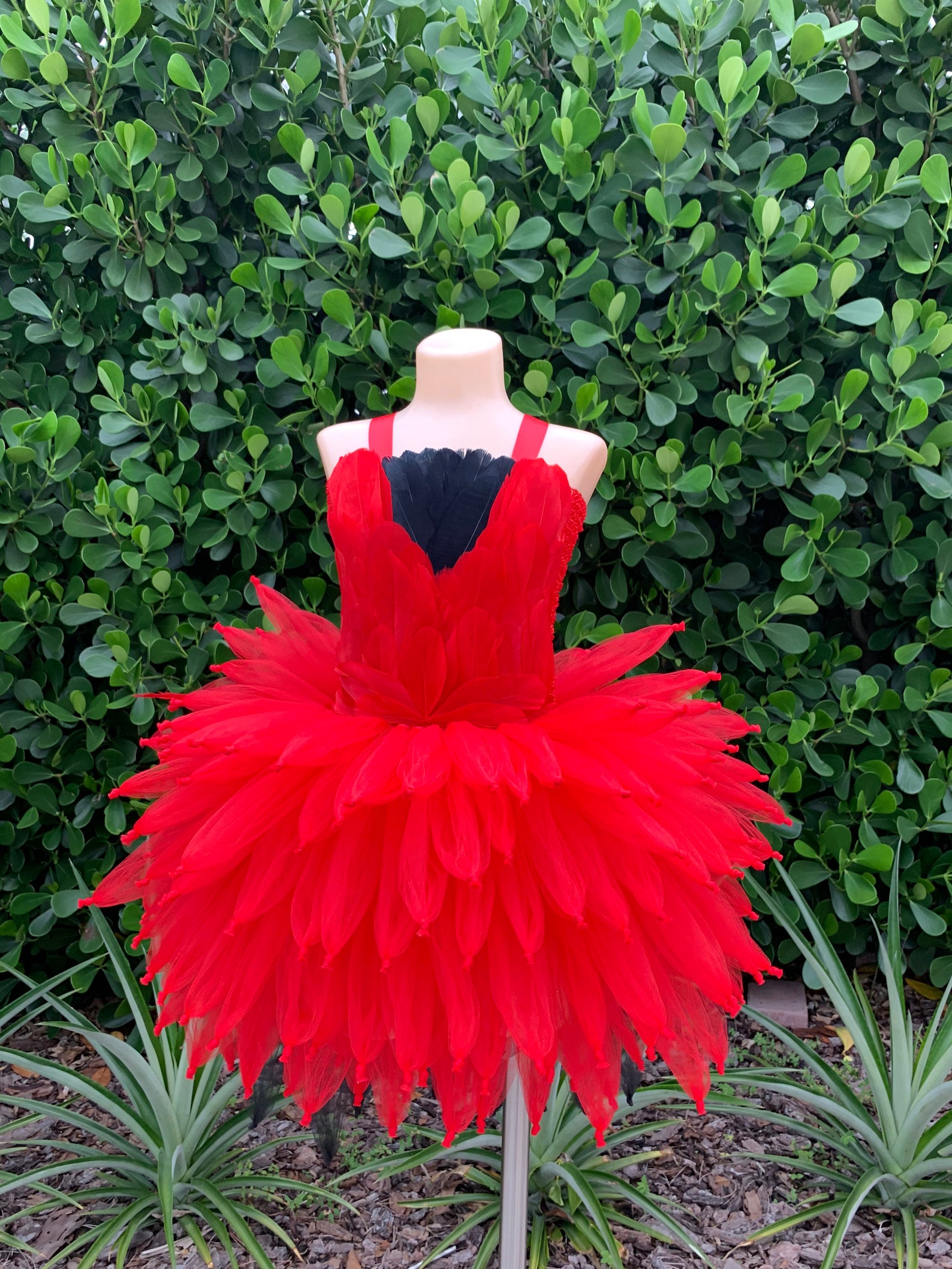 Cardinal Costume Bird Costume Bird Inspired Dress Cardinal - Etsy