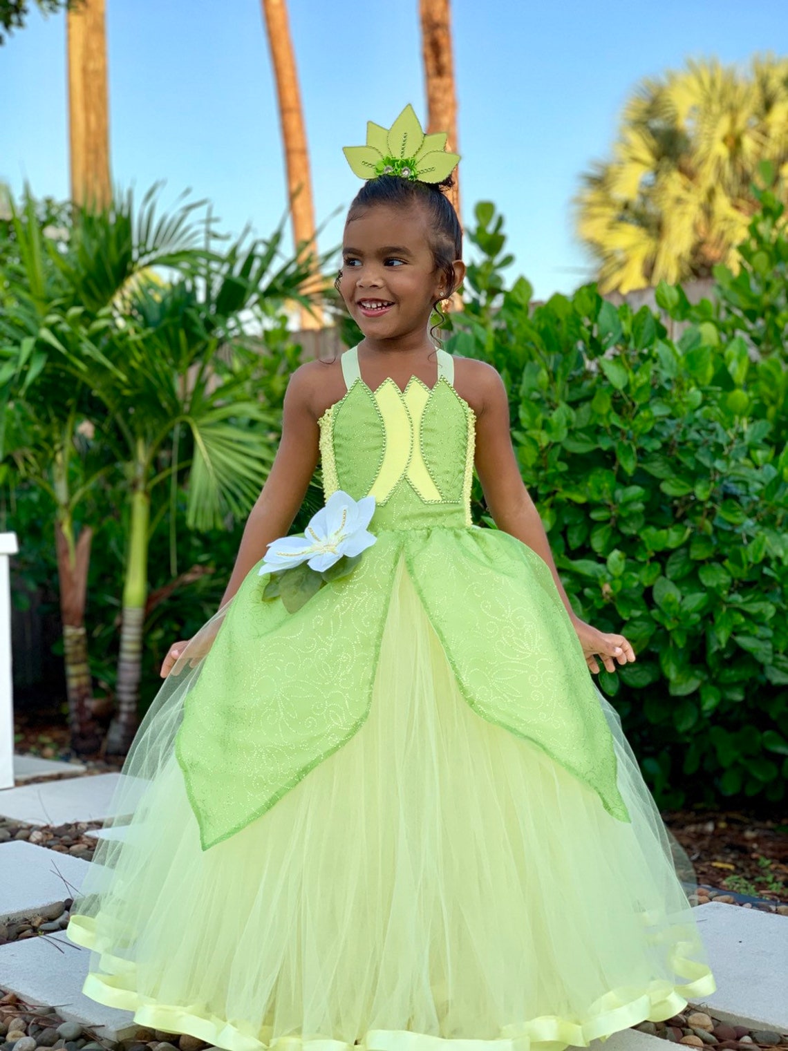 Princess Tiana Costume Princess Tiana Dress Cinderella Tutu - Etsy