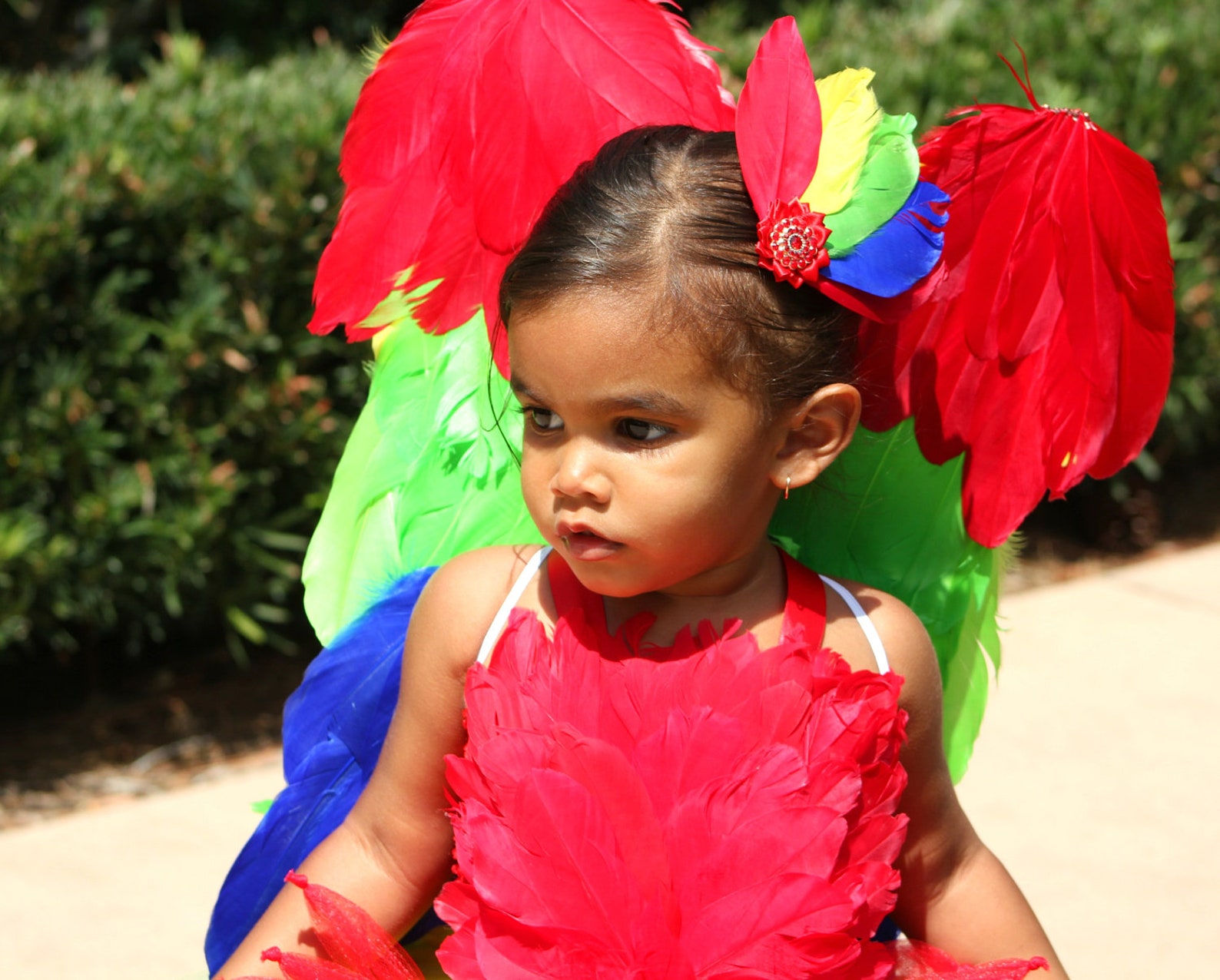 Parrot Dress Bird Costume Parrot Costume Macaw Dress - Etsy Singapore