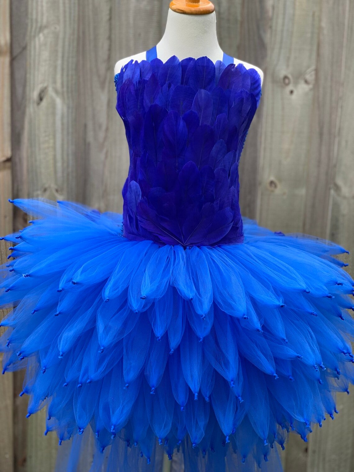 Blue Macaw Dress Blue Jay Costume Parrot Costume Blue Bird | Etsy