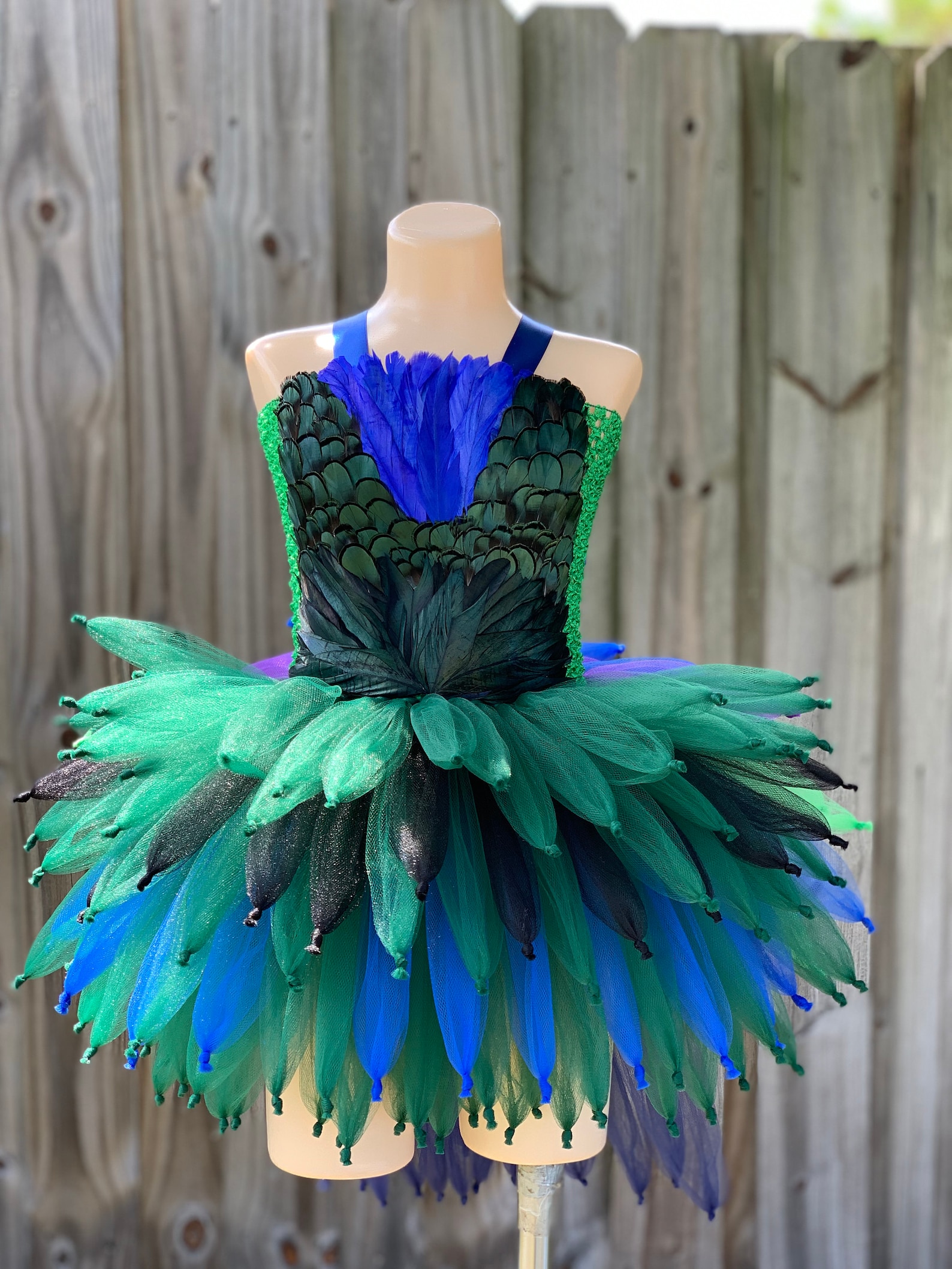 Hummingbird Costume, Bird Costume, Feather Dress, Tropical Bird Costume ...