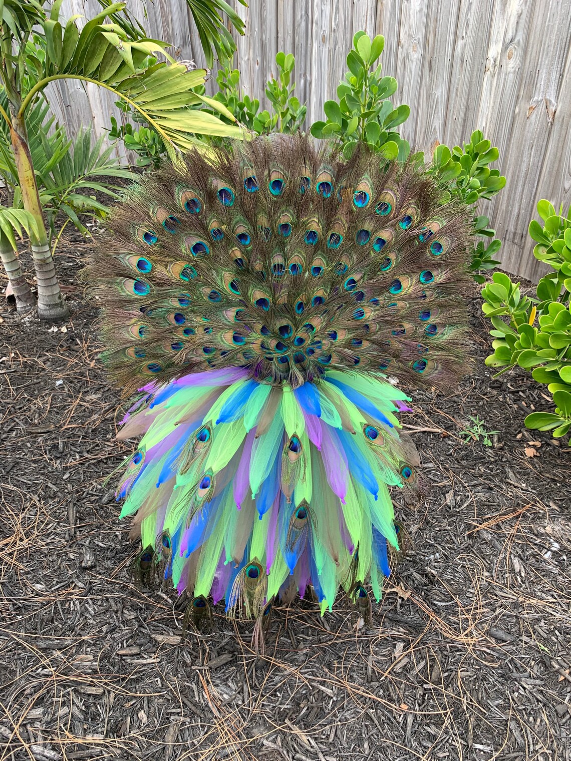 Peacock Tutu Costume Mardi Gras Pageant Dress Bird Costume Etsy