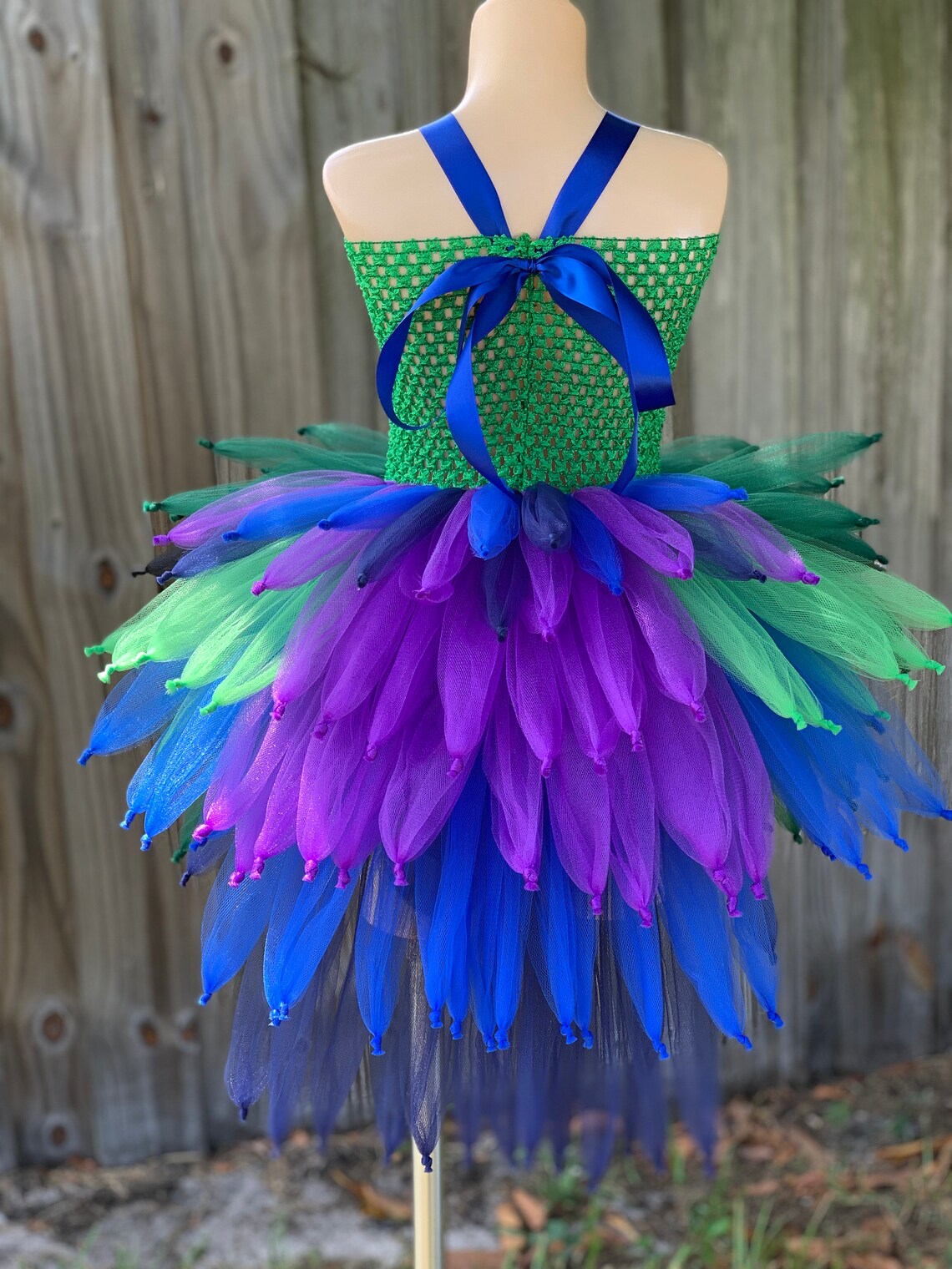 Hummingbird Costume, Bird Costume, Feather Dress, Tropical Bird Costume ...