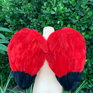 Cardinal Costume, Bird Costume, Bird Inspired Dress, Cardinal Bird ...
