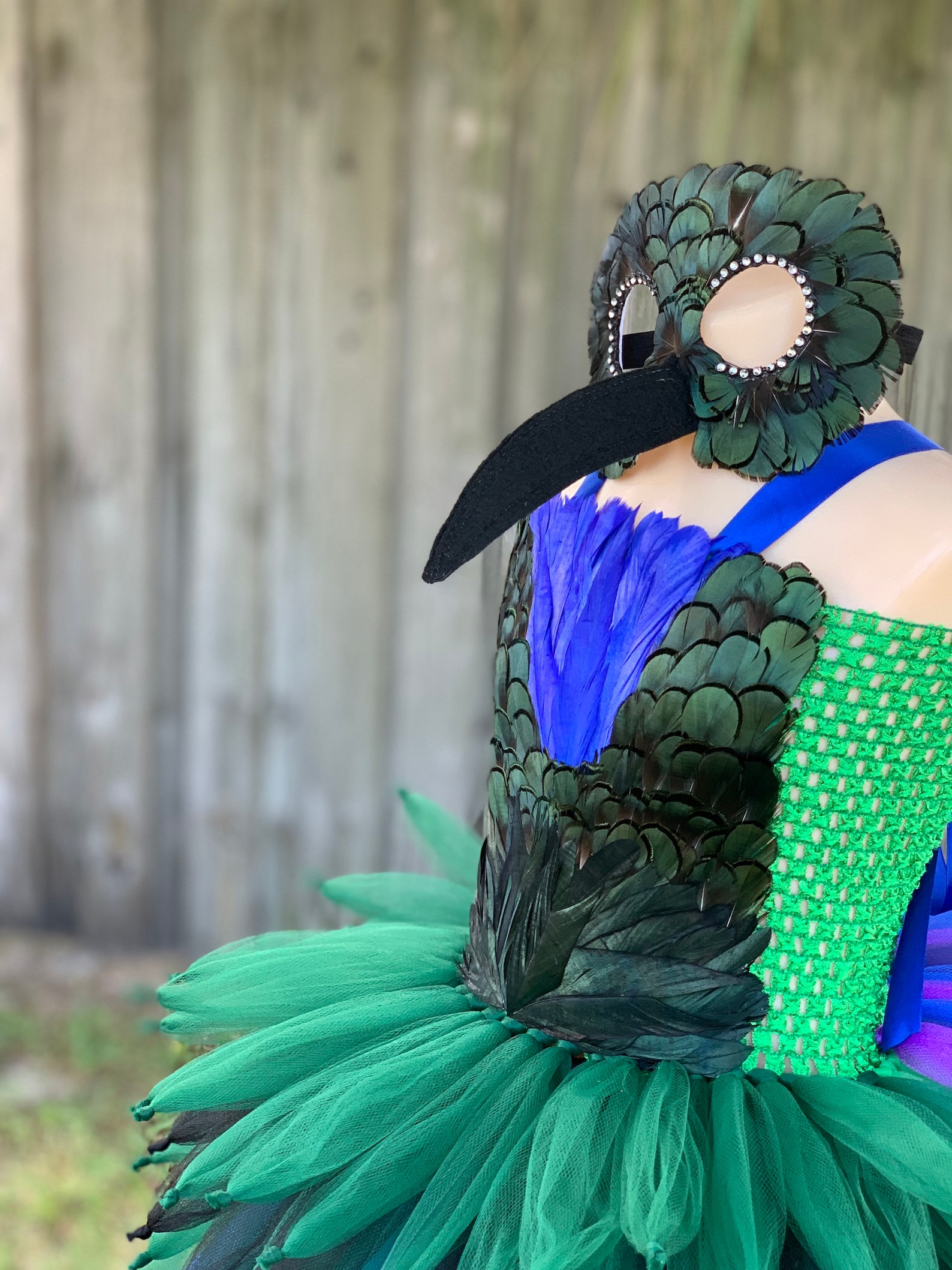 Hummingbird Costume, Bird Costume, Feather Dress, Tropical Bird Costume ...