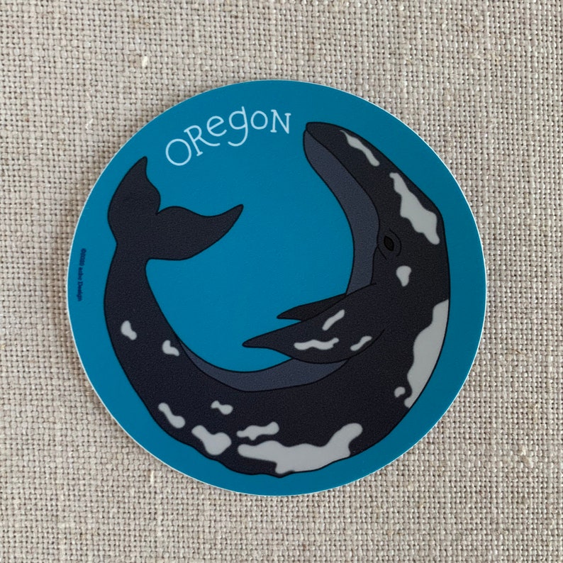 Oregon Gray Whale Vinyl Sticker / Oregon Coast Sticker / | Etsy