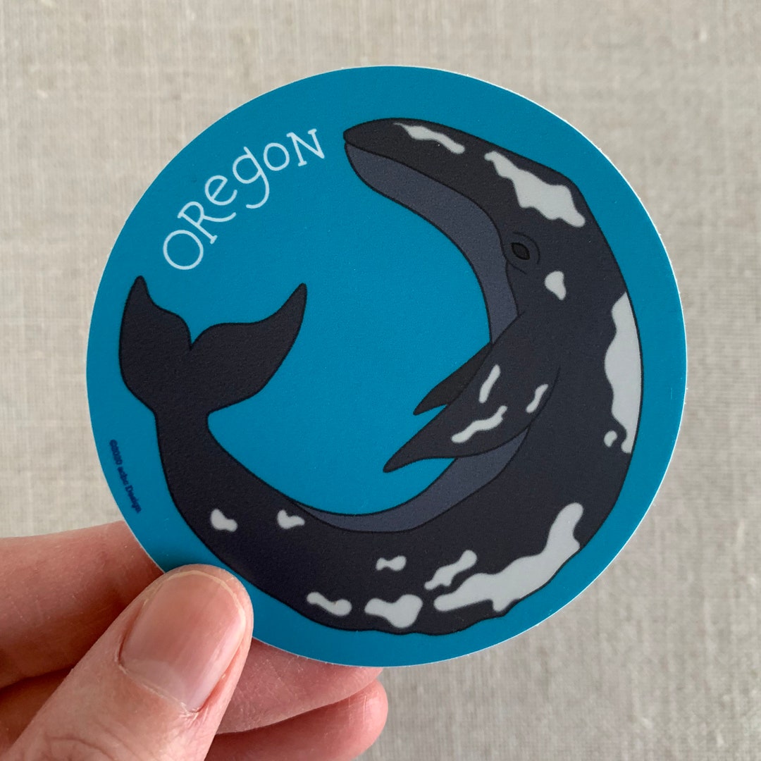 Oregon Gray Whale Vinyl Sticker / Oregon Coast Sticker / Whimsical Grey ...