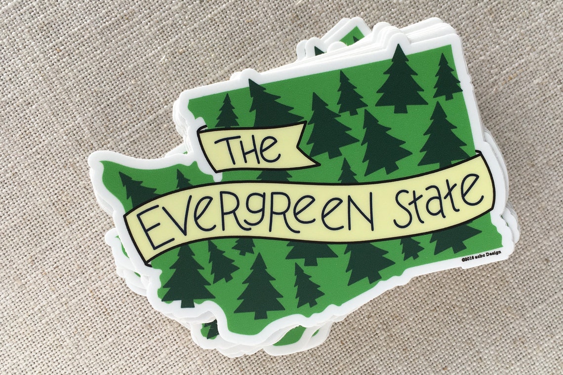 The Evergreen State Vinyl Sticker / Modern Illustrated - Etsy