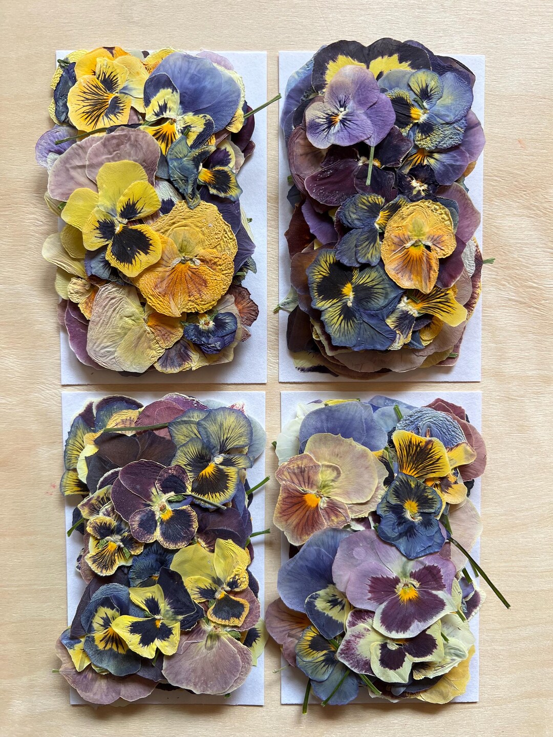 50 Pcs *EDIBLE* ‘pansy Party’ Pressed VIOLA & PANSY *flowers ...