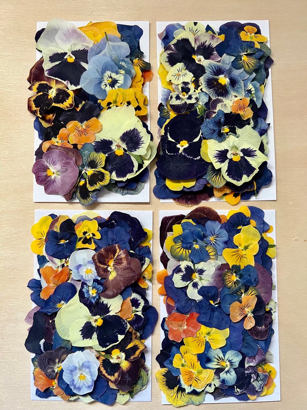 100 Pcs EDIBLE pansy Party Pressed VIOLA & PANSY flowers Chemical Free ...