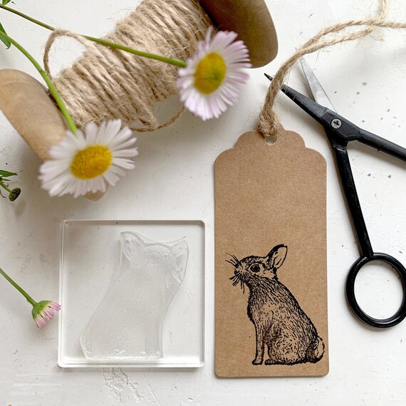 Bunny Rabbit Stamp at Christopher Bryant blog