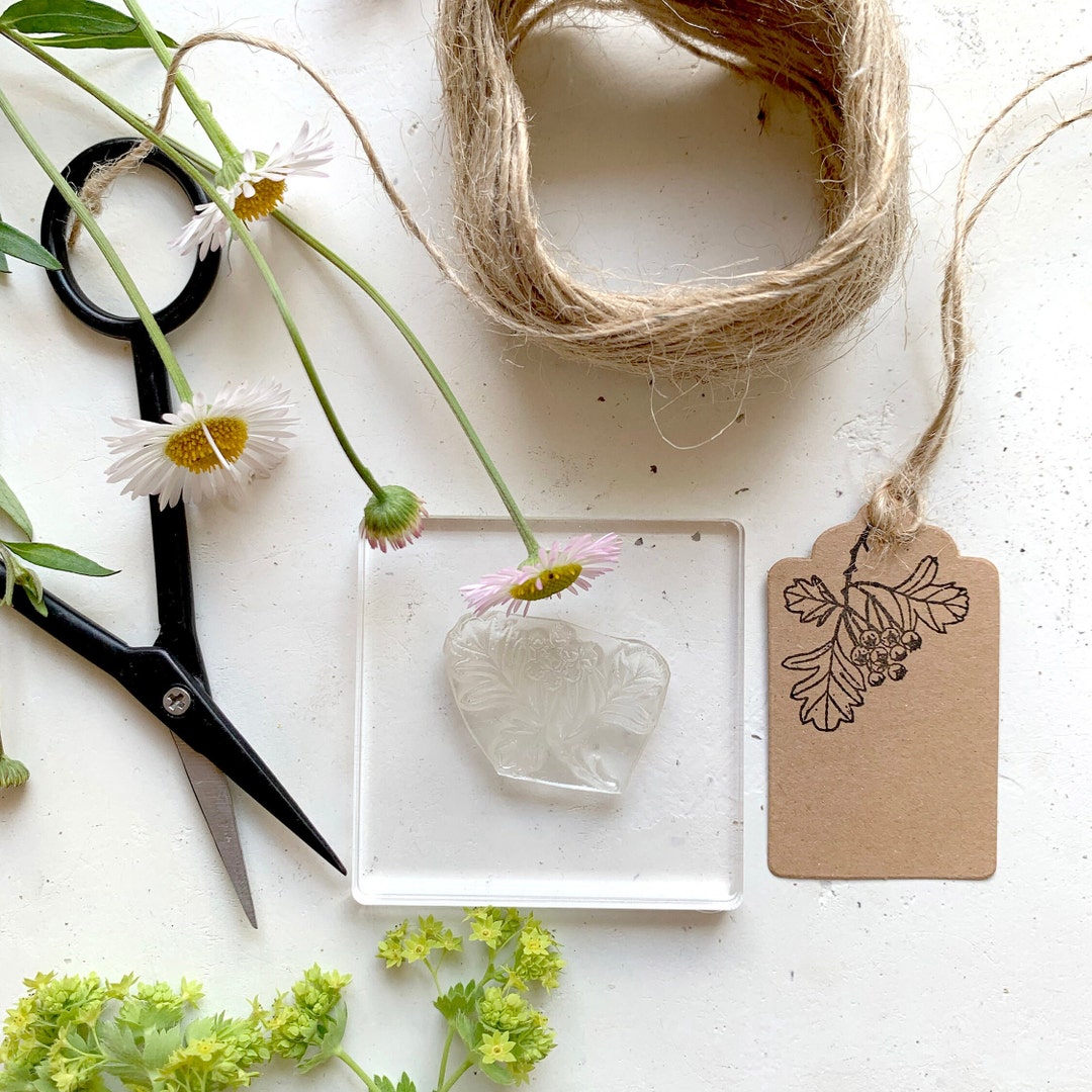 Hawthorn Stamp - Hawthorn Sprig Berries - Hawthorn Berries Rubber Stamp ...