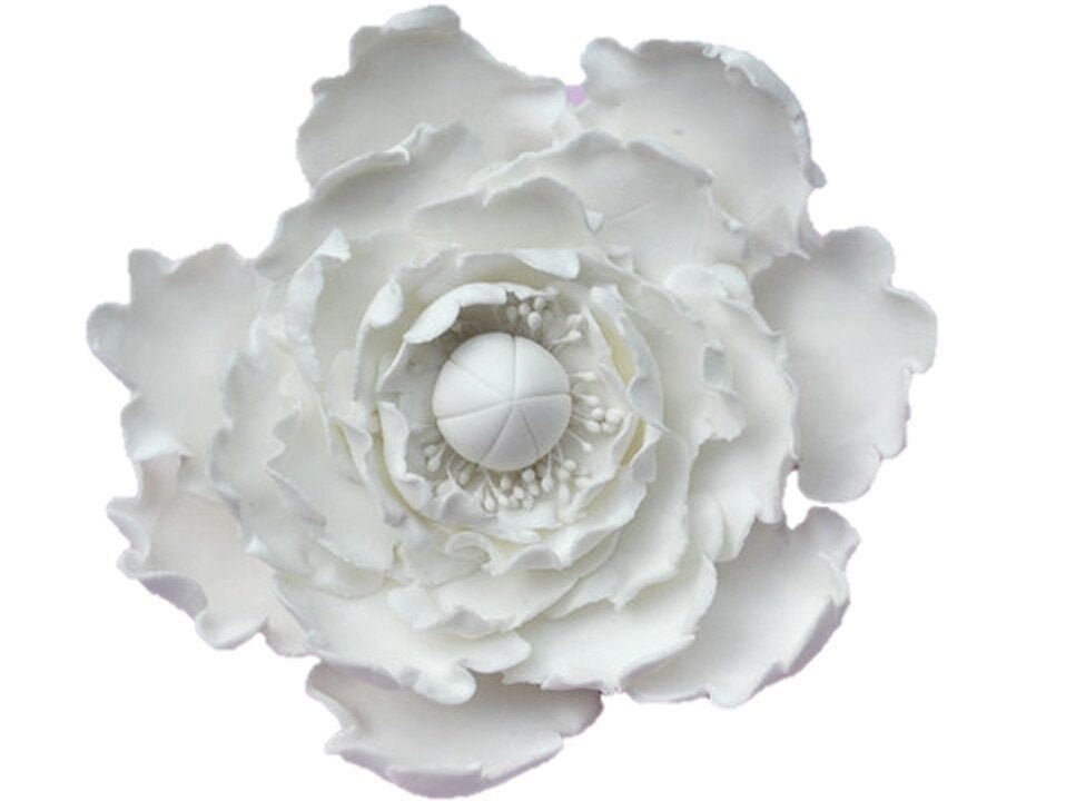 Peony Flowers White Cake Toppers Sugar Gumpaste Wedding | Etsy