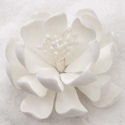 Elegant Lotus Sugar Flowers in White Cake Topper Water | Etsy