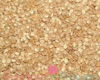 Round Sprinkles | Etsy