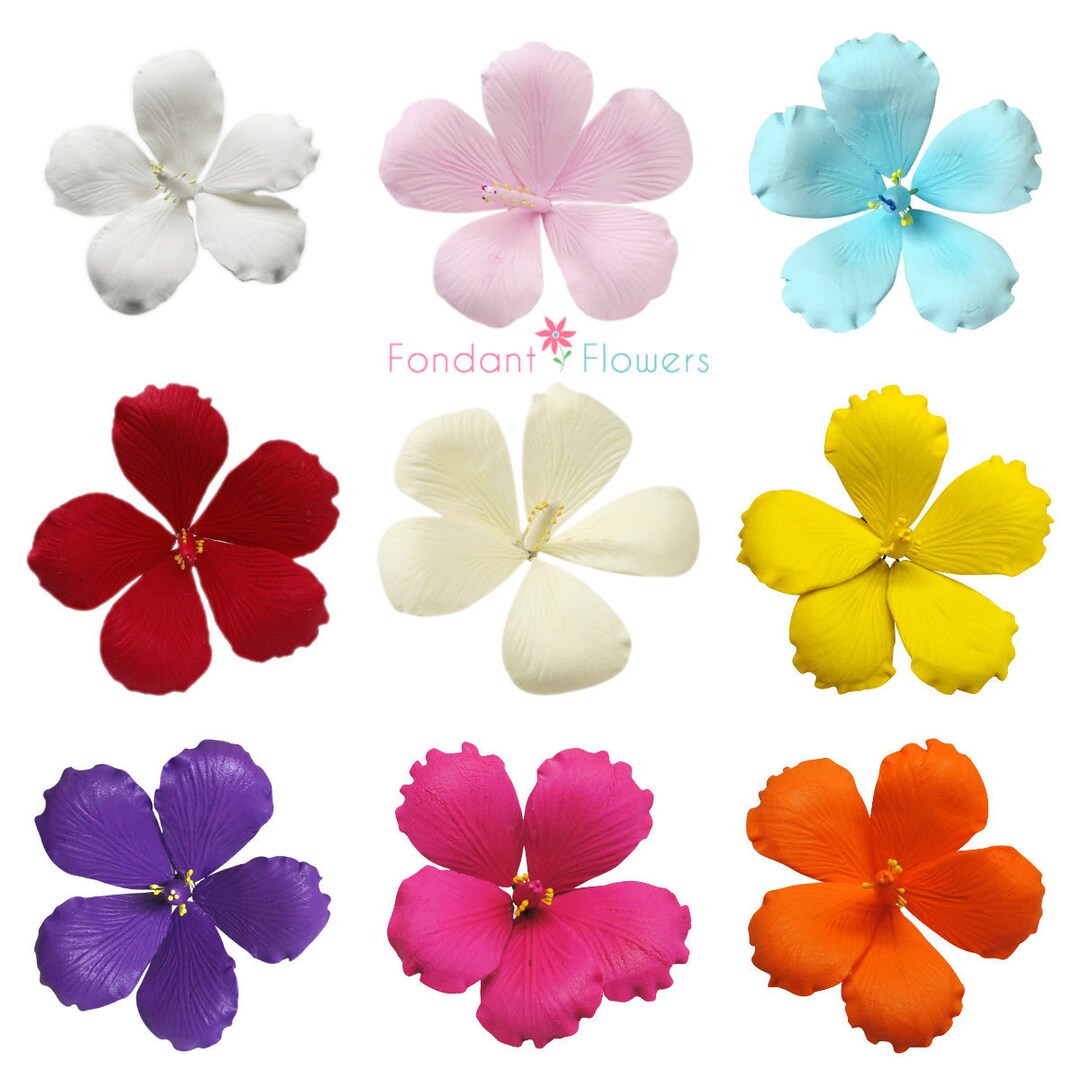 Handmade Gumpaste Hibiscus Flower – Edible Cake Topper - Etsy