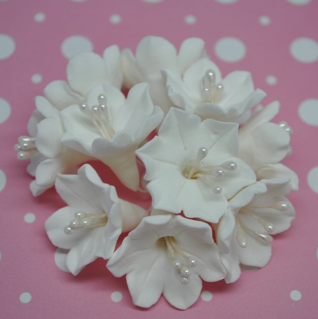 Gumpaste Agapanthus Bunch Flower for Cake Topper Lily of the Nile ...