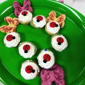 24 Royal Icing Ladybugs for Cake Decoration Cupcake Topper Birthday ...